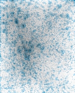 Home | MINE: Maximal Information-based Nonparametric Exploration