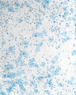 Home | MINE: Maximal Information-based Nonparametric Exploration